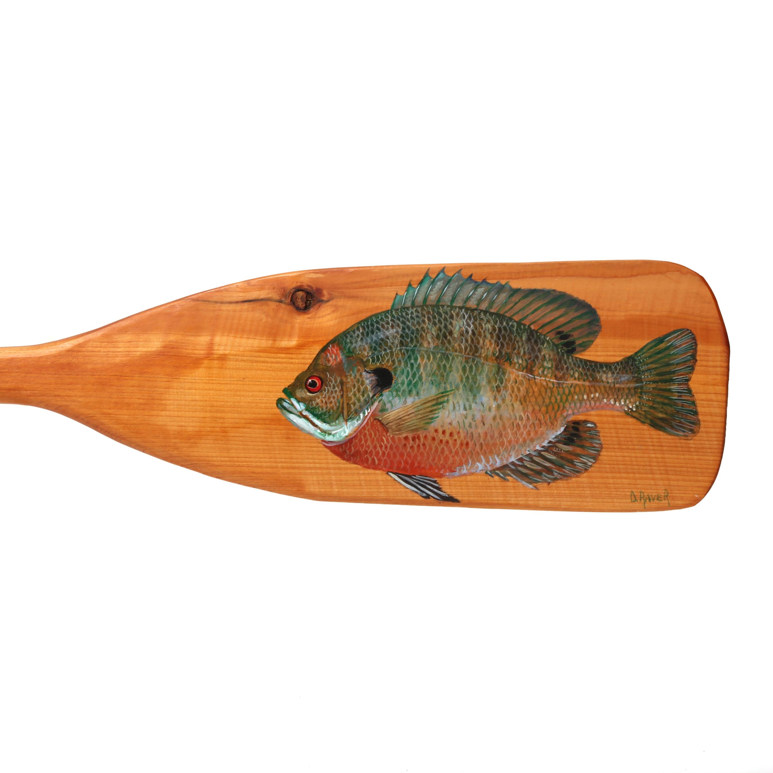 Duane Raver Jr. | Redbreast Sunfish on Paddle | MutualArt