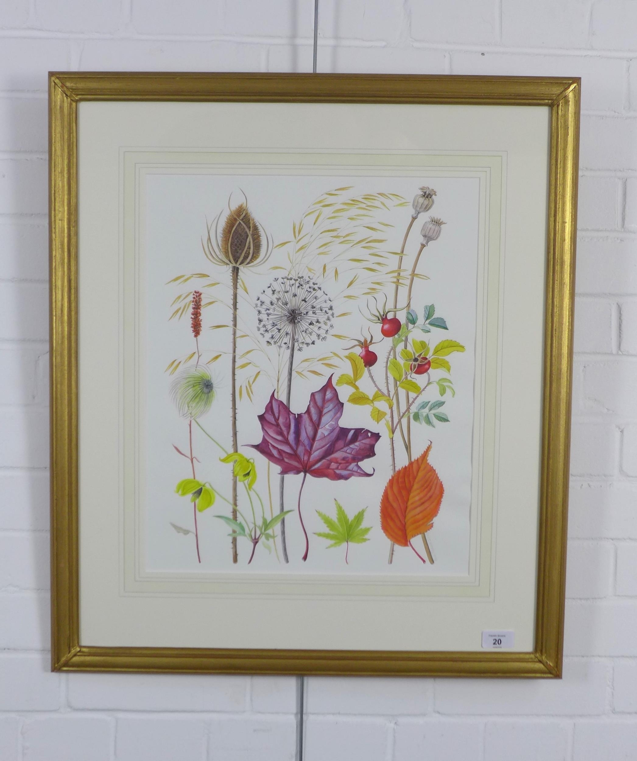 Ann Fraser | botanical watercolour (2005) | MutualArt