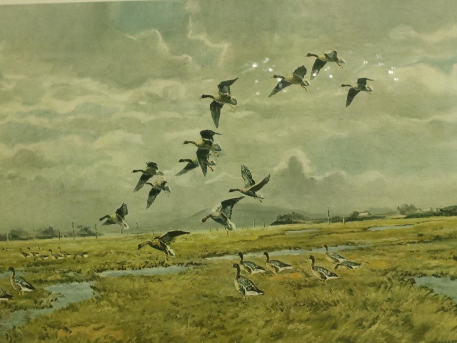 Hugh Monahan | estuary scenes with wild birds in flight, each x cm. Not ...