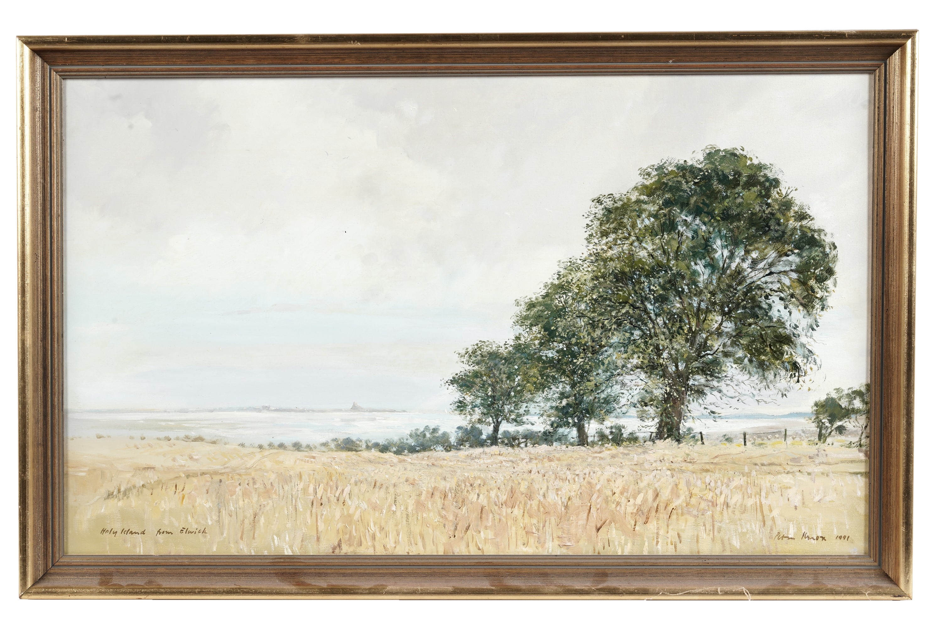Peter Knox | Holy Island From Elwick (1991) | MutualArt