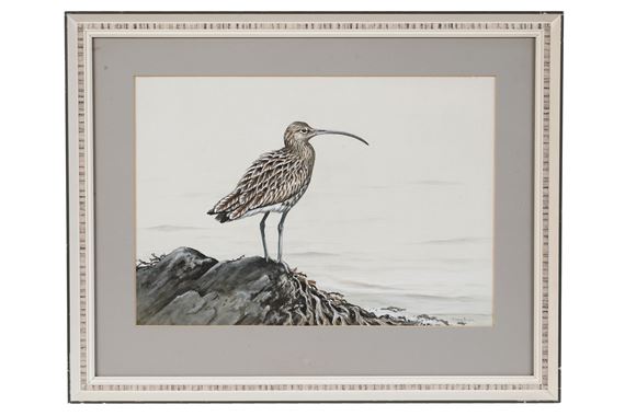 Hilary Burn | Curlew | MutualArt