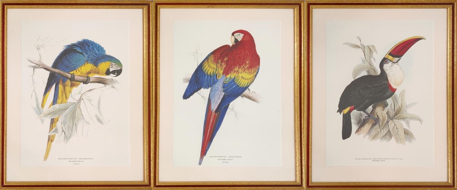 Edward Lear | THREE PRINTS HAND COLOURED LITHOGRAPHS OF PARROTS BY ...