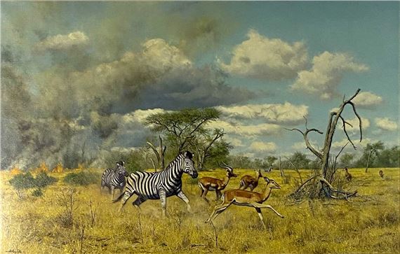 Anthony Gibbs | Zebra and Impala escaping a Bush Fire | MutualArt