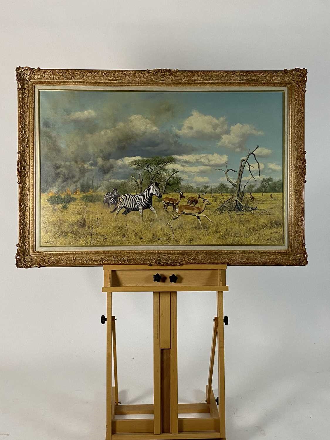 Anthony Gibbs | Zebra and Impala escaping a Bush Fire | MutualArt