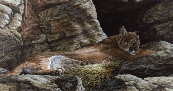 Darren Haley | Darren Haley (20th century), Cat Napping | MutualArt