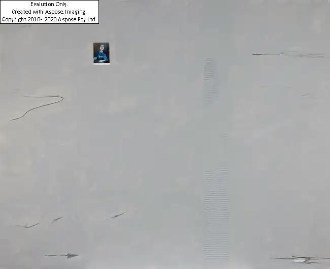 Alex Ruthner | New Image Painting (2014) | MutualArt