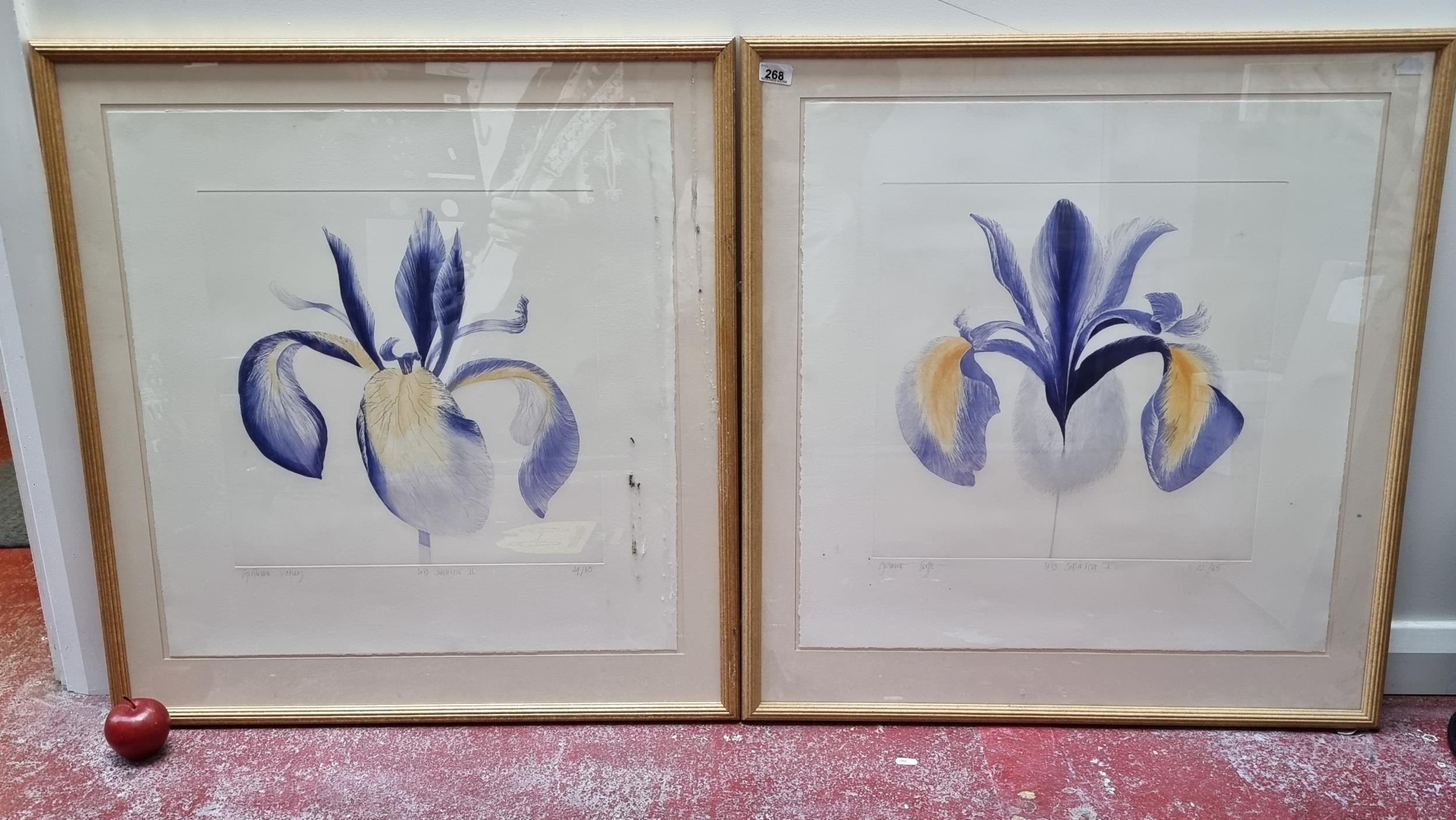 Grainne Cuffe | Two very large original limited edition, titled Iris ...