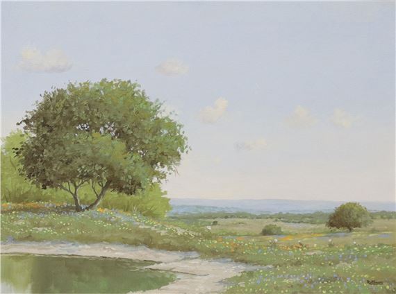 Jerry Ruthven | Hill Country Landscape with Wildflowers | MutualArt
