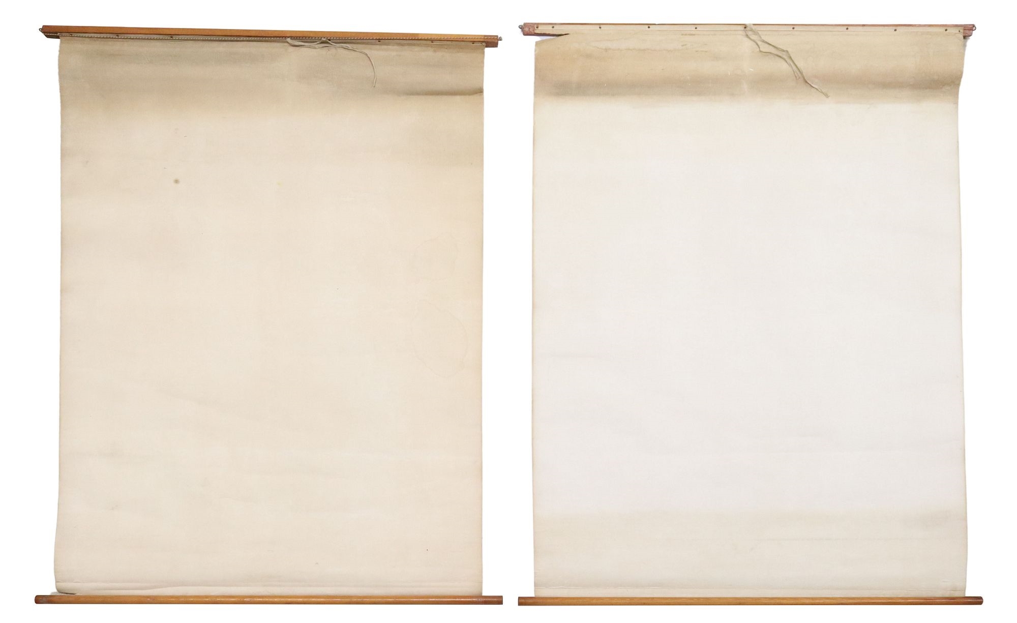 Max Brodel | American Frohse Anatomical Charts | MutualArt