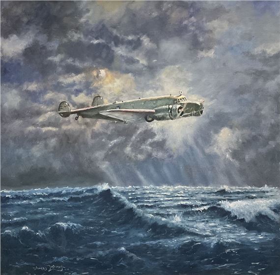 James Lishman | 'Amelia Earhart's Final Flight' | MutualArt