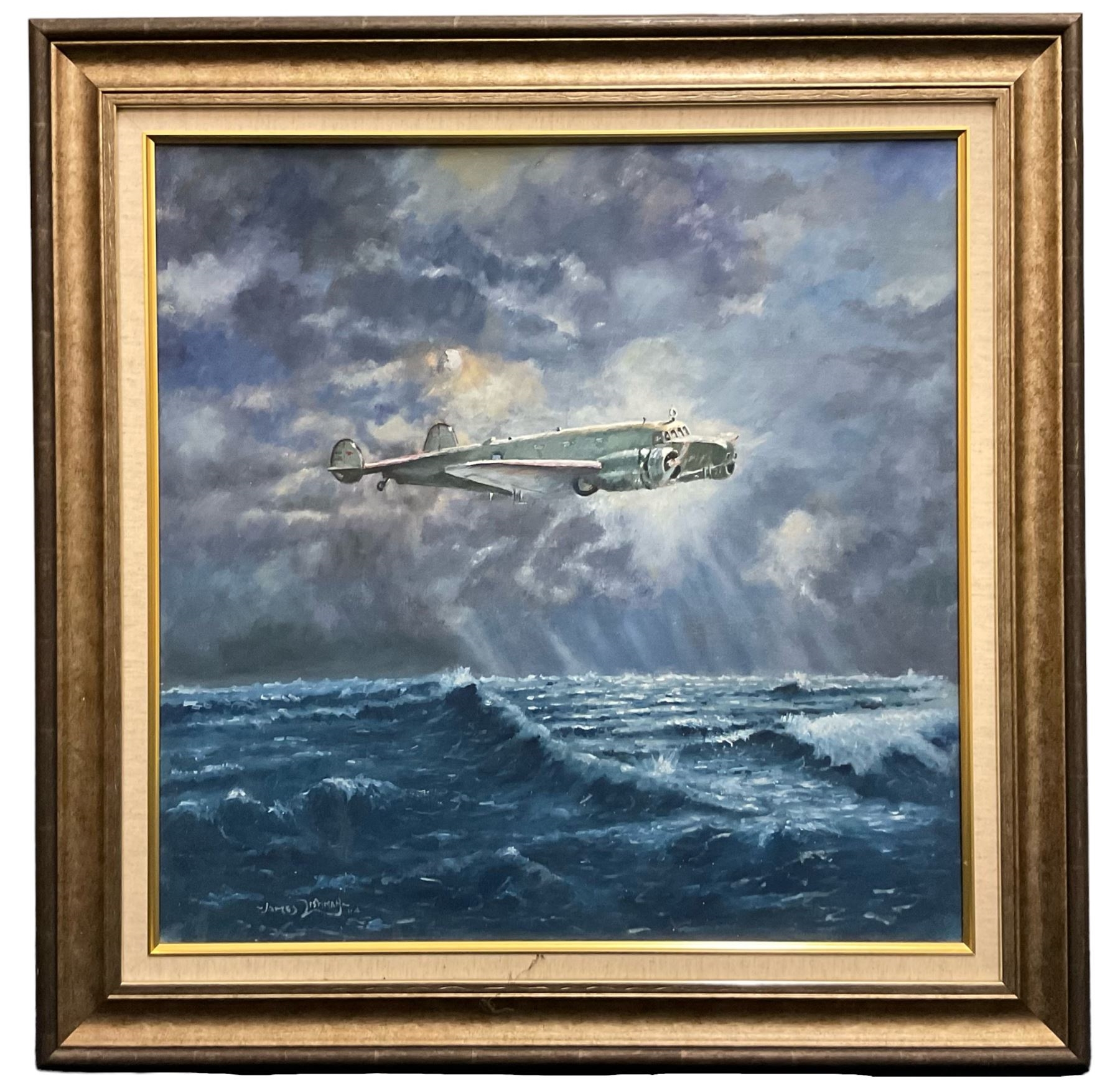 James Lishman | 'Amelia Earhart's Final Flight' | MutualArt
