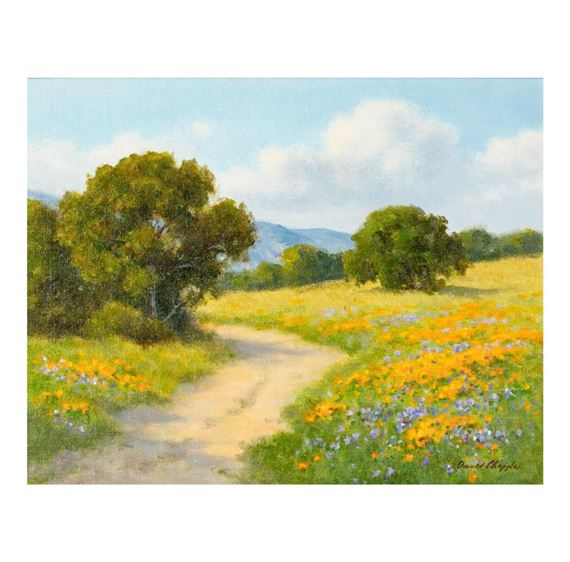 David Chapple | Roadside Bloom | MutualArt