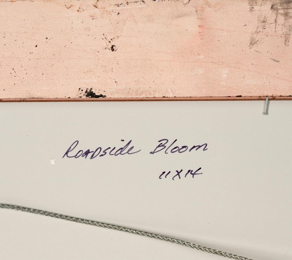 David Chapple | Roadside Bloom | MutualArt