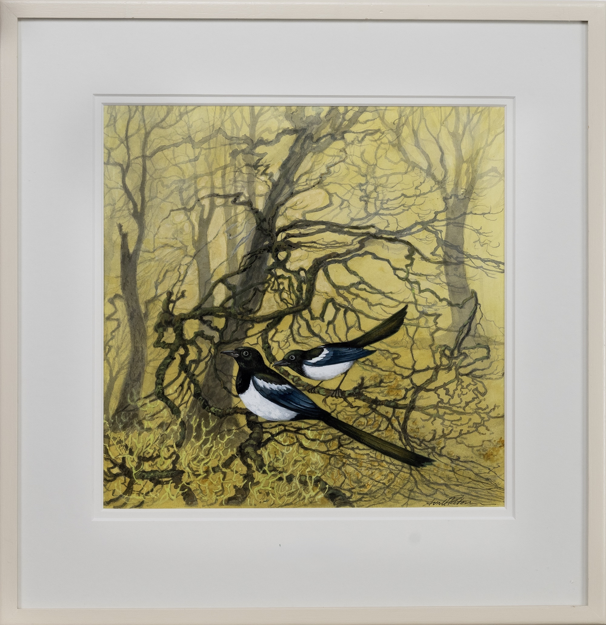 Avril Paton | MAGPIES | MutualArt