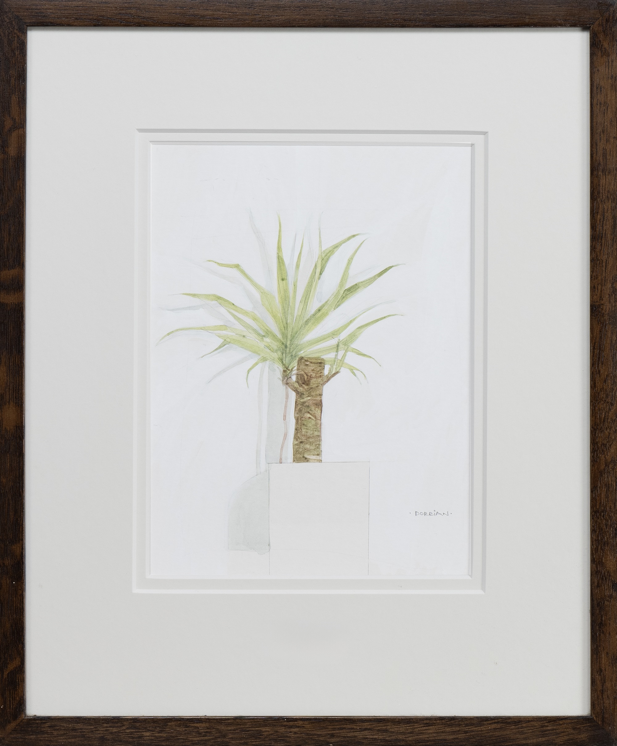 Patrick Dorrian | STILL LIFE OF PALM TREE | MutualArt