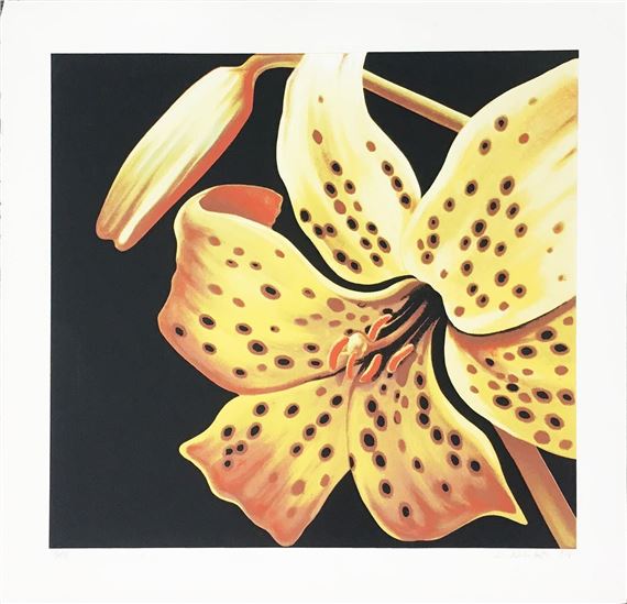 Lowell Nesbitt | Lowell Nesbitt - Lily (Circa 1975) | MutualArt