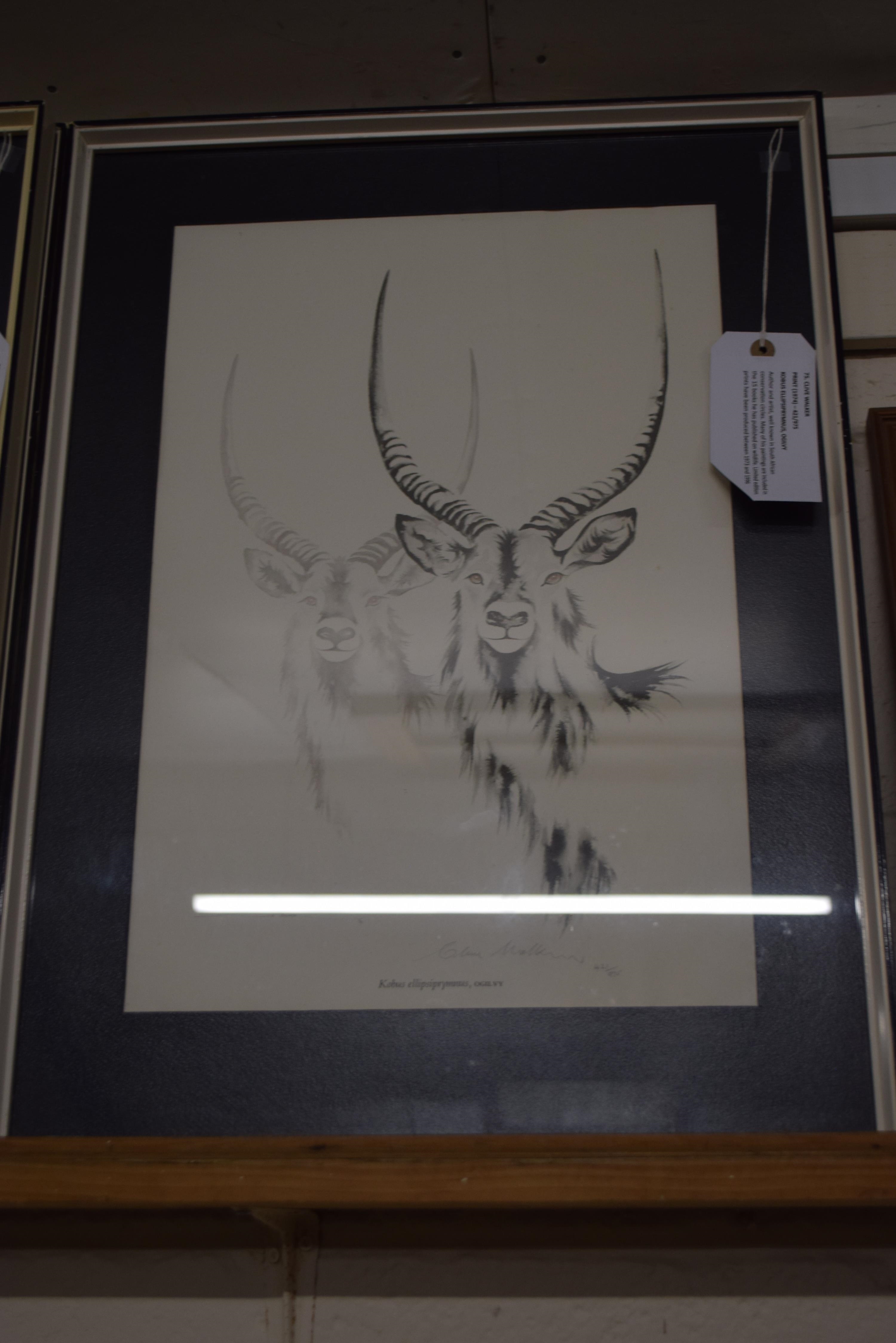 Clive Walker | Clive Walter | MutualArt