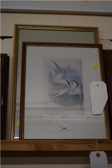Dan Powell | Artist Overview | MutualArt