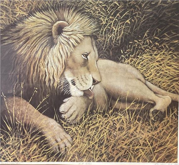 Caroline Schultz | Caroline Schultz - Ngorongoro Lion | MutualArt