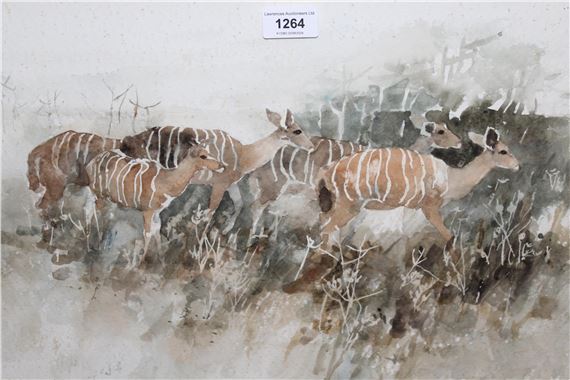 Barbara Siedle | antelope in a landscape | MutualArt