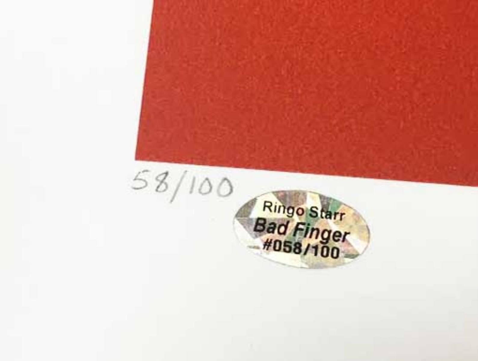 Ringo Starr | Ringo Starr - Bad Finger (2005) | MutualArt