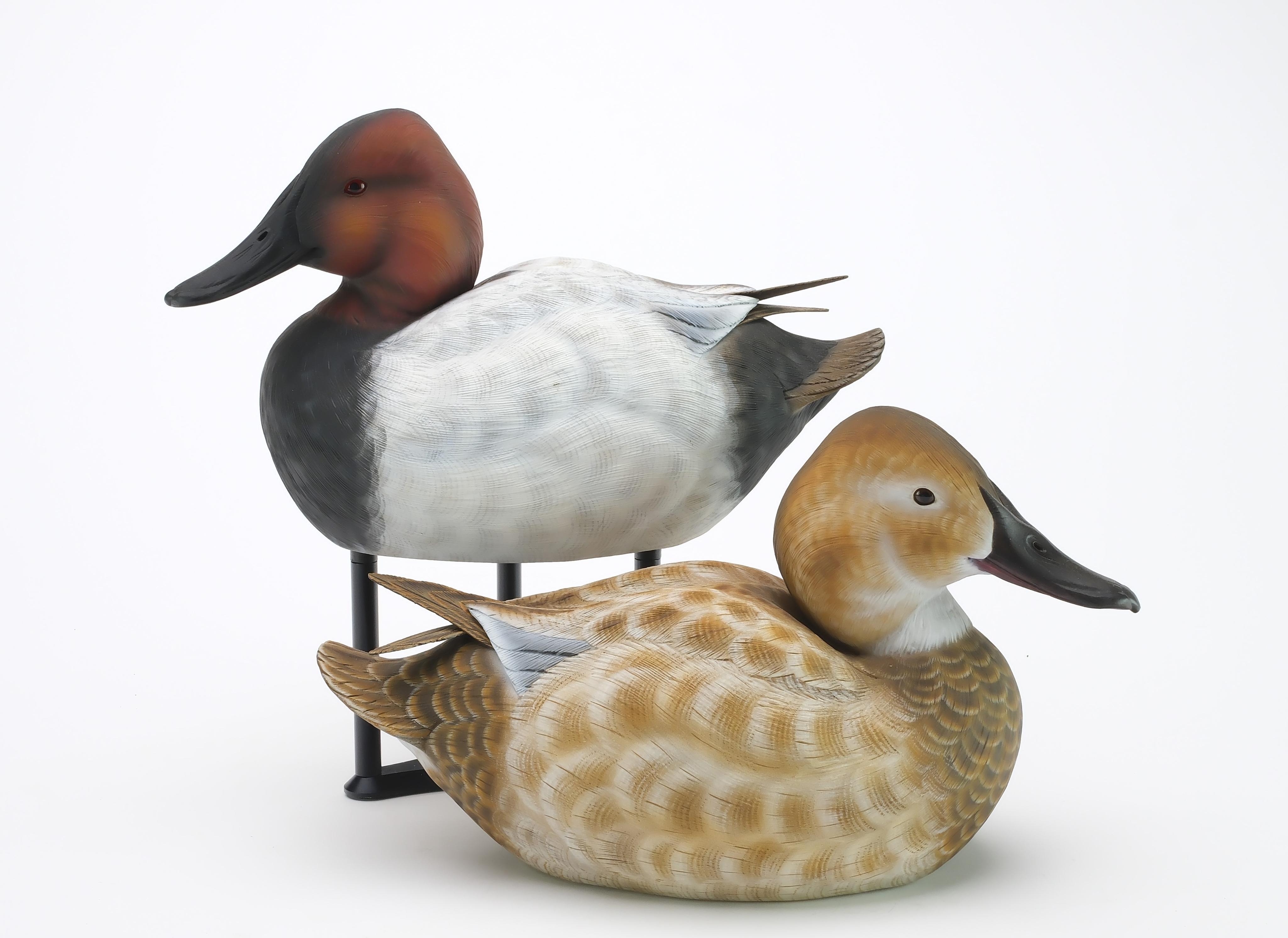 Jeffrey Moore | Pair of canvasbacks (2008 - 2009) | MutualArt