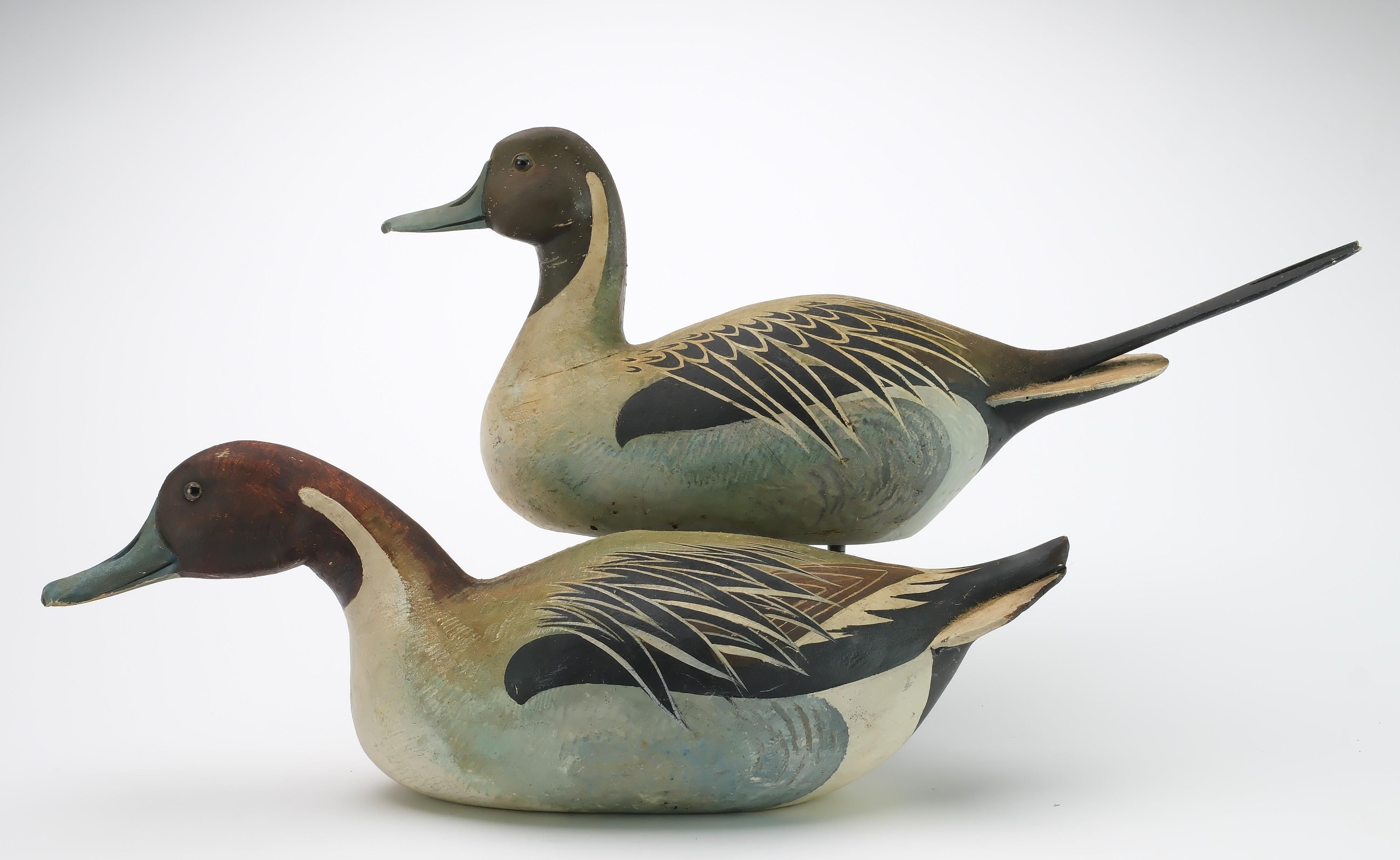 John P. Kucera | Two pintails | MutualArt
