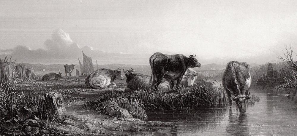 John Frederick Tennant | John Frederick Tennant The Rest at Eve 1857 ...