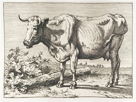 Paulus Potter | Paulus Potter - Standing Cow (1880) | MutualArt