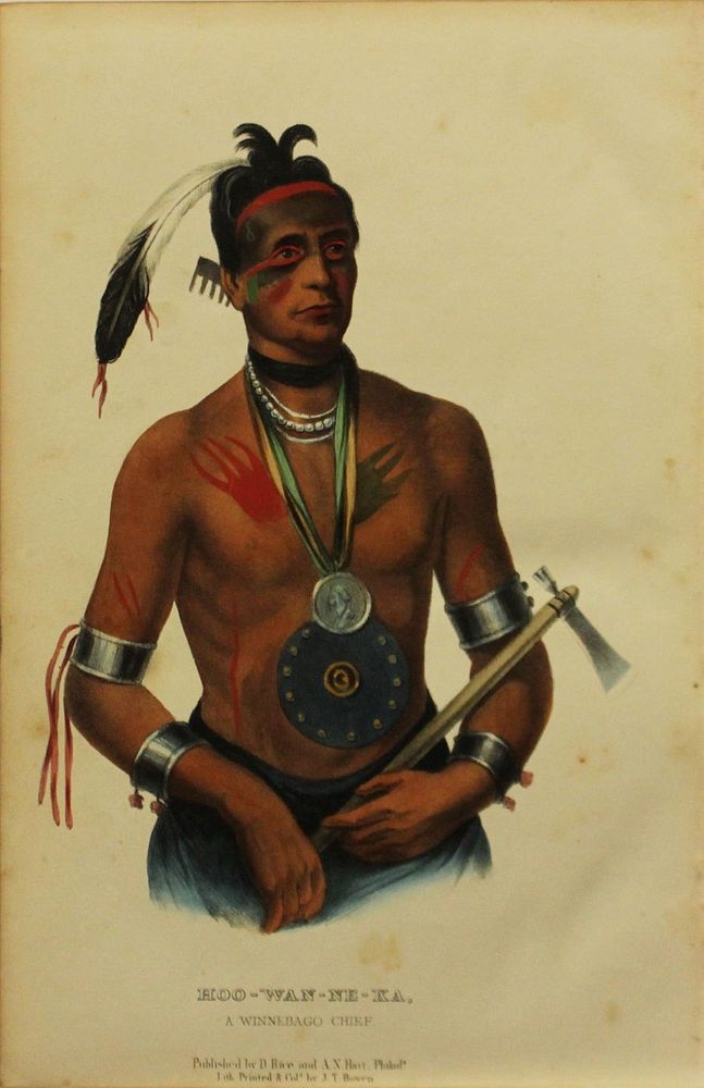 Charles Bird King | Charles Bird King - Hoo Wan Ne Ka A Winnebago Chief ...