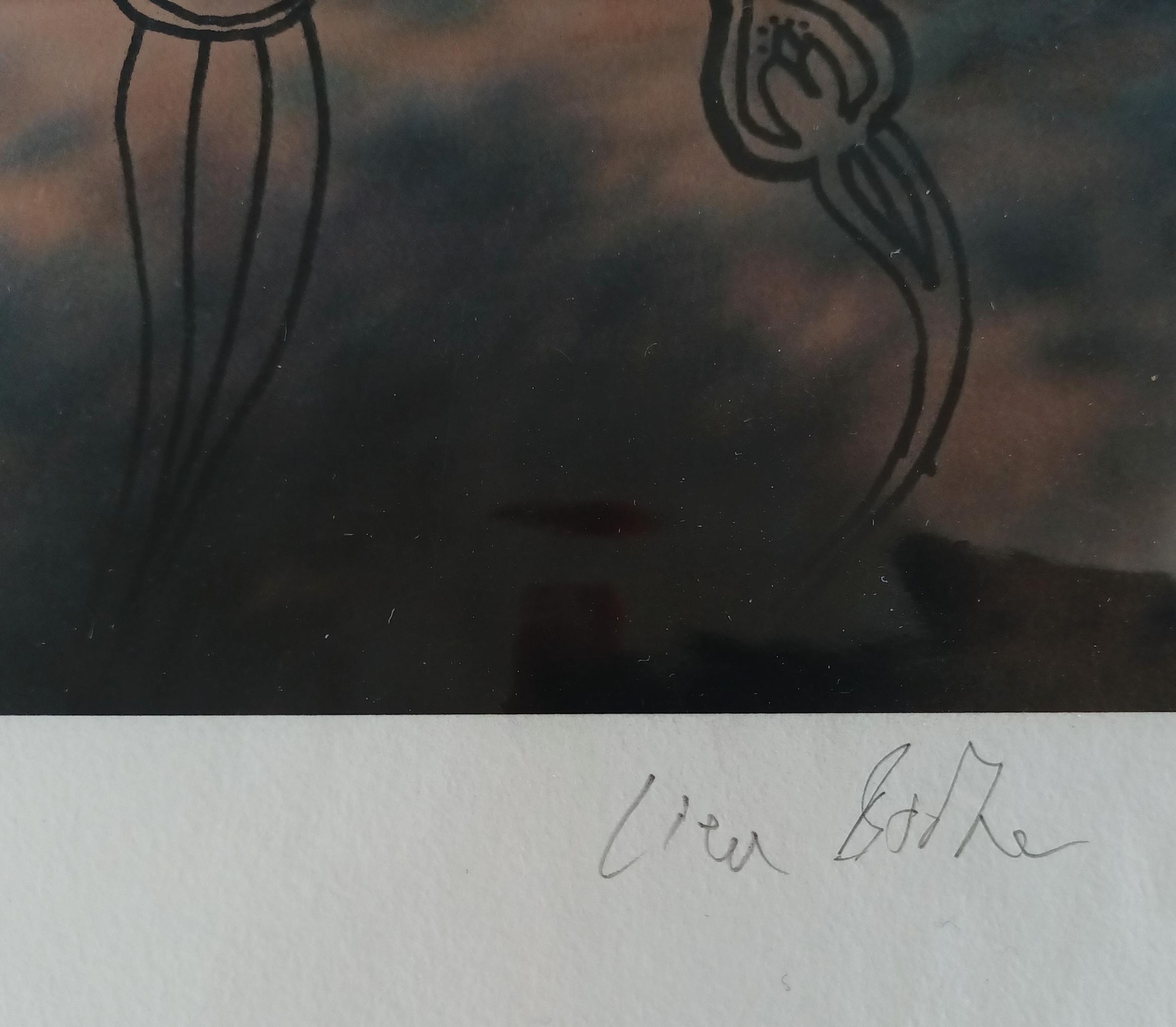 Lien Botha | BESONDERSE PLANTE VIR ELKE SEISOEN (2003) | MutualArt