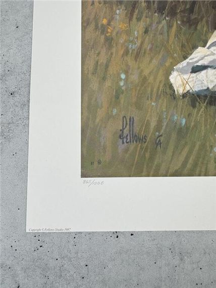 Fred Fellows | Fred Fellows The Broken Star Quilt Print | MutualArt