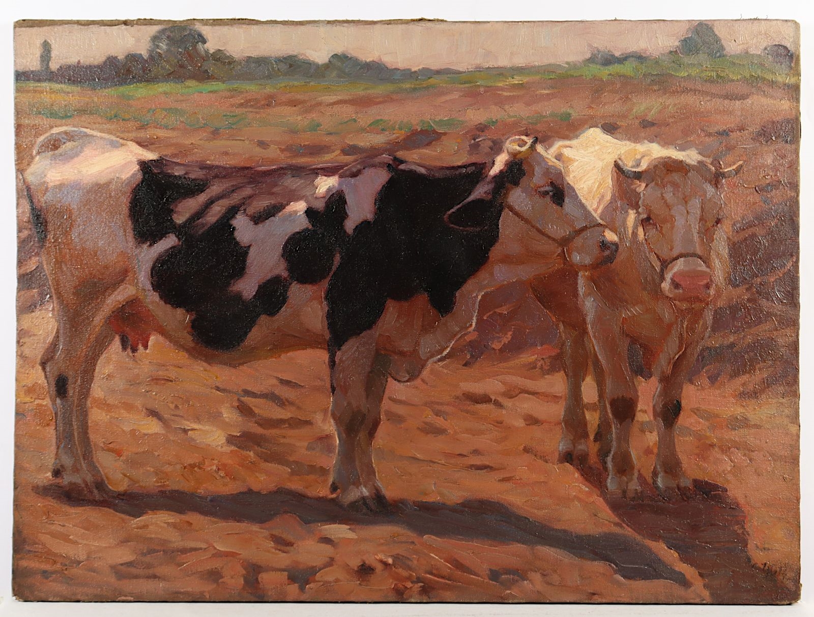 Georg Wolf | Zwei Kühe | MutualArt