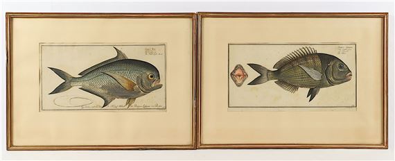 Jean Frederic Hennig | 1 Artworks | MutualArt