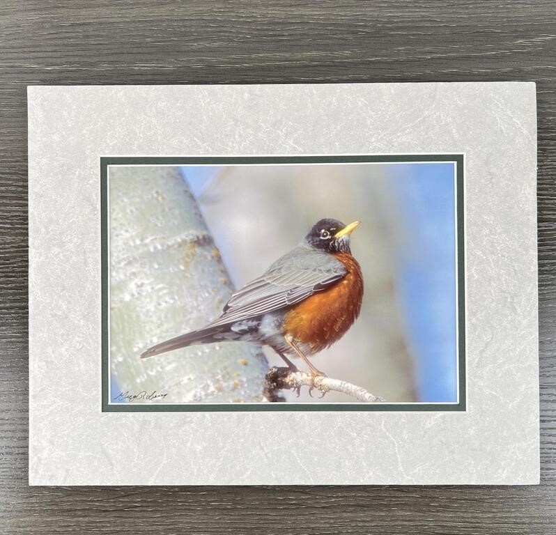 Greg Roberts | Greg Roberts Robin Photo | MutualArt