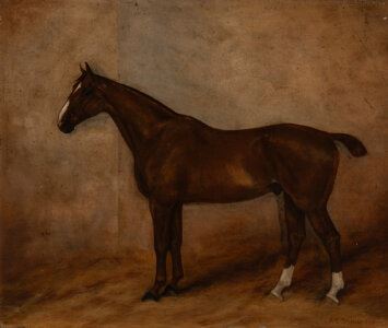 Albert Edward Duncan Gordon | Portrait of Frontier, by King of Trumps ...