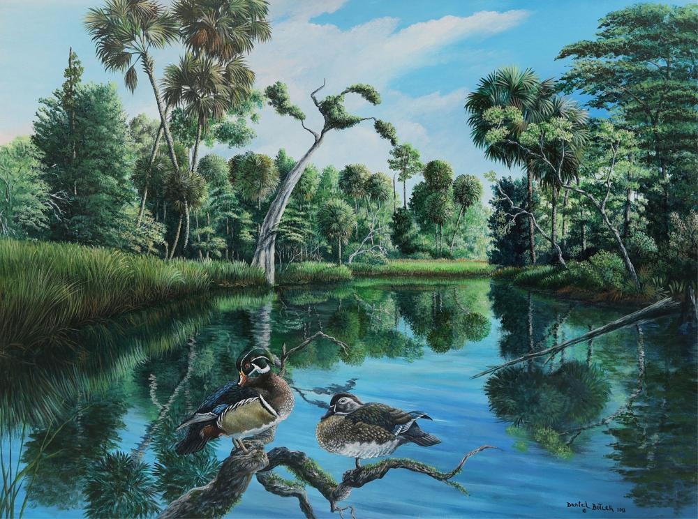 Daniel Butler | DANIEL BUTLER FLORIDA ARTIST PARADISE UNDISTURBED (2013 ...