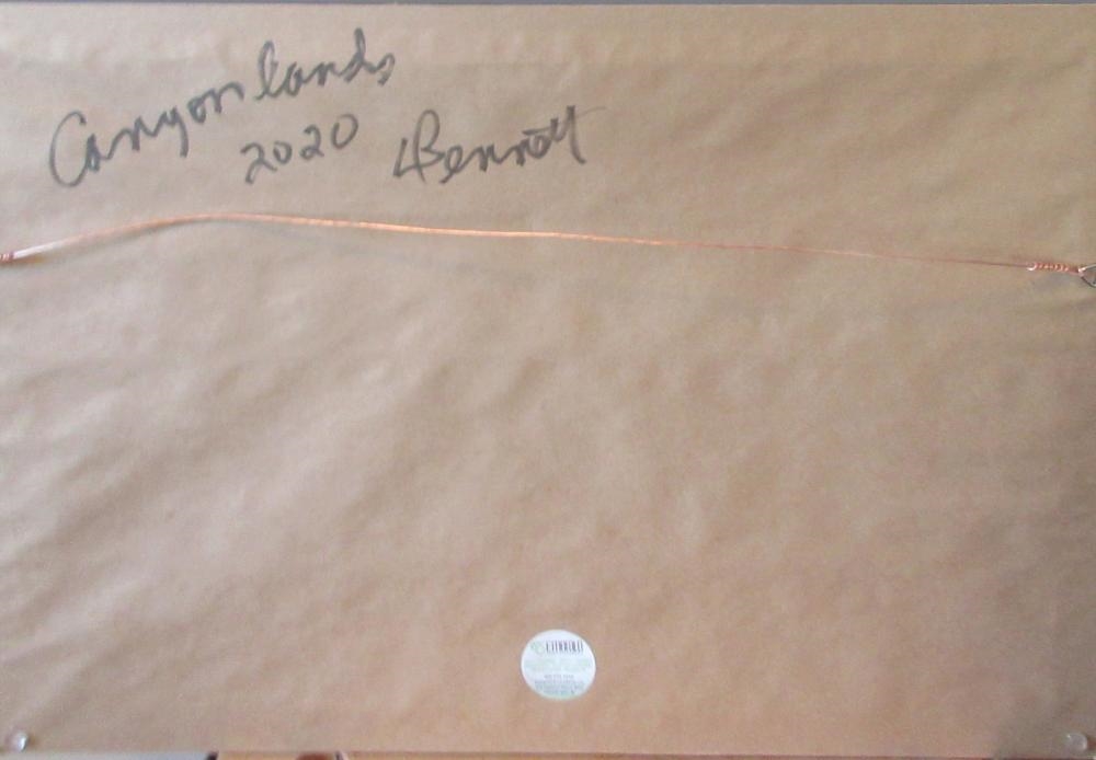 Lloyd Bennett | CANYONLANDS (2020) | MutualArt