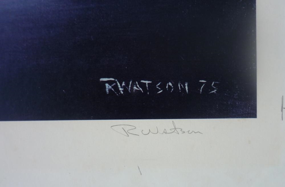 Robert Watson | ROBERT WATSON (1975) | MutualArt