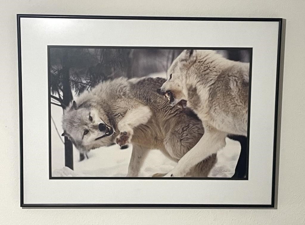 Carl R. Sams II | Carl R. Sams II Original Photograph Pair Of Wolves ...