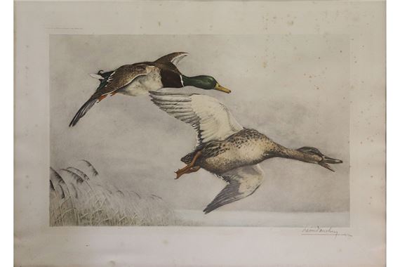 Danchin Leon | Léon DANCHIN (1887-1938) Canards en vol Lithographie en ...