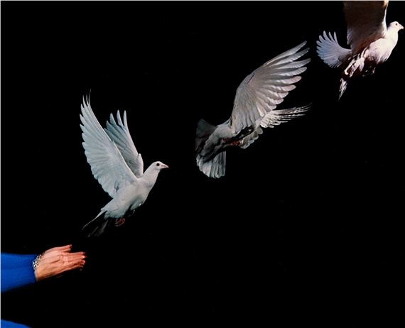 Harold Eugene Edgerton | Pigeon Released (1965) | MutualArt