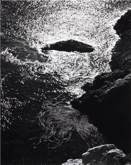 Edward Weston | Nude (1925) | MutualArt