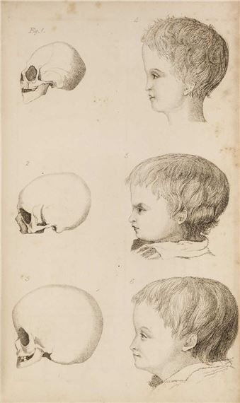 Andrew Carmichael | The Physiognomical System of Drs (1815) | MutualArt