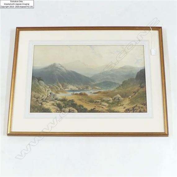 Tom Peerless | THOMAS PEERLESS (1858-1896 | MutualArt