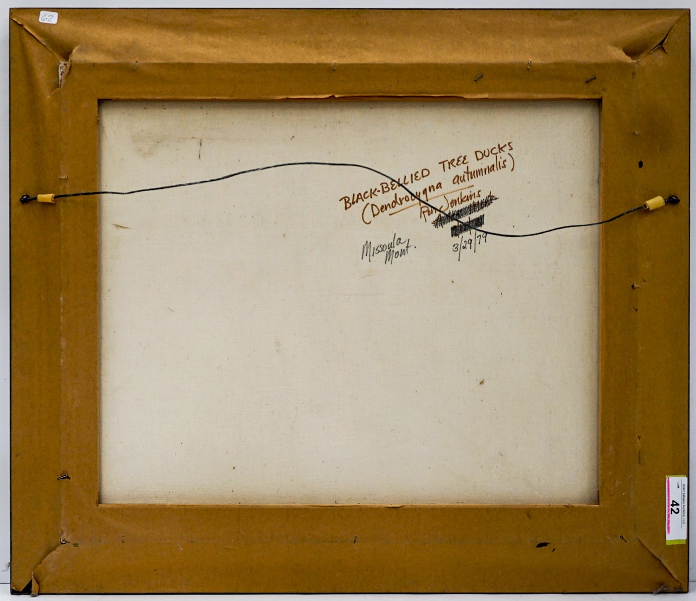 Ron Jenkins | Black Bellied Tree Ducks | MutualArt