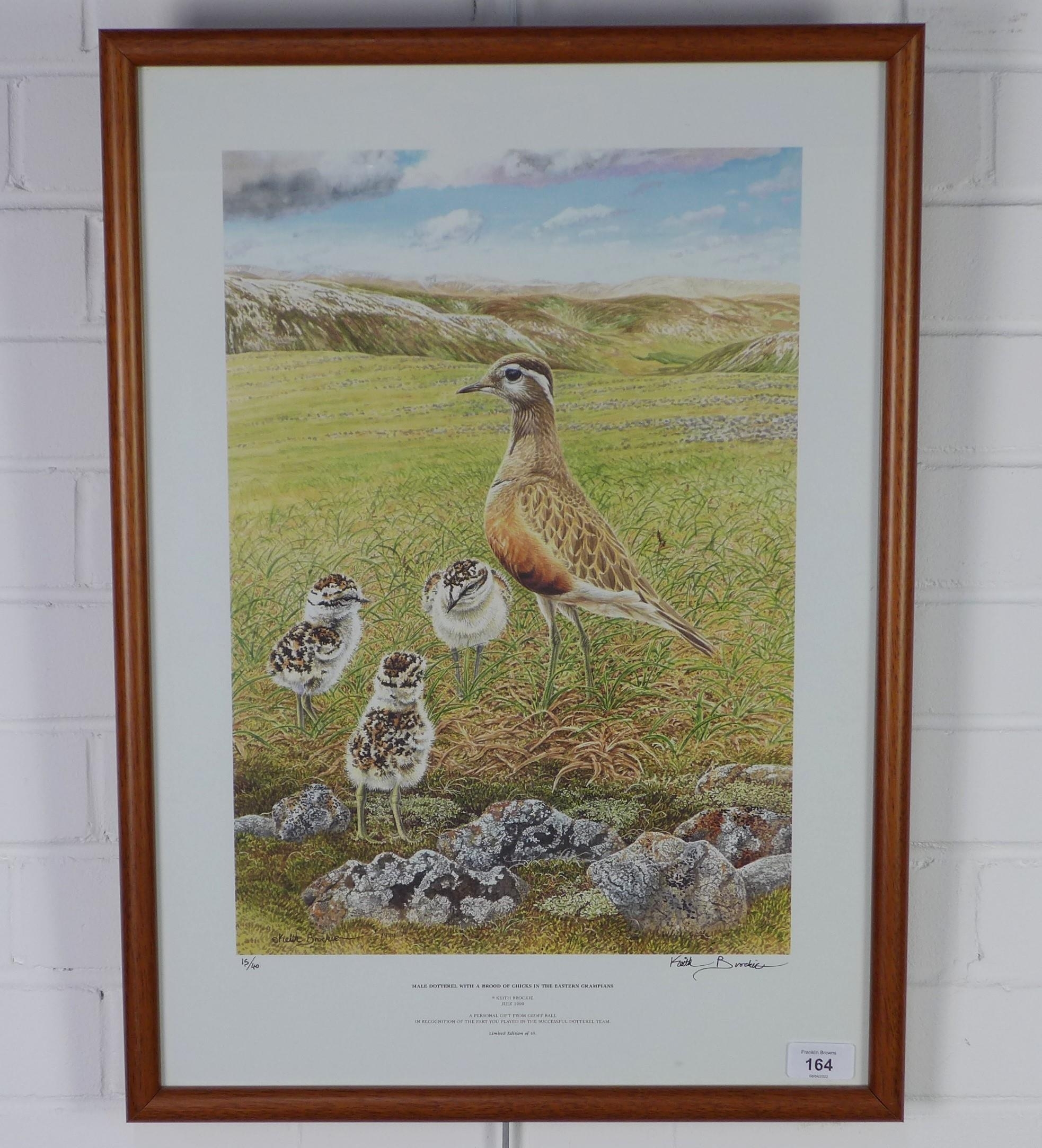 Keith Brockie | Keith Brockie | MutualArt