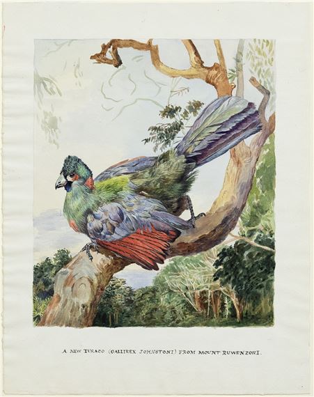 David Johnson | 1 Artworks at Auction | MutualArt