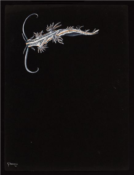 George Swanson | George Alan Swanson Watercolor, White Creature on ...