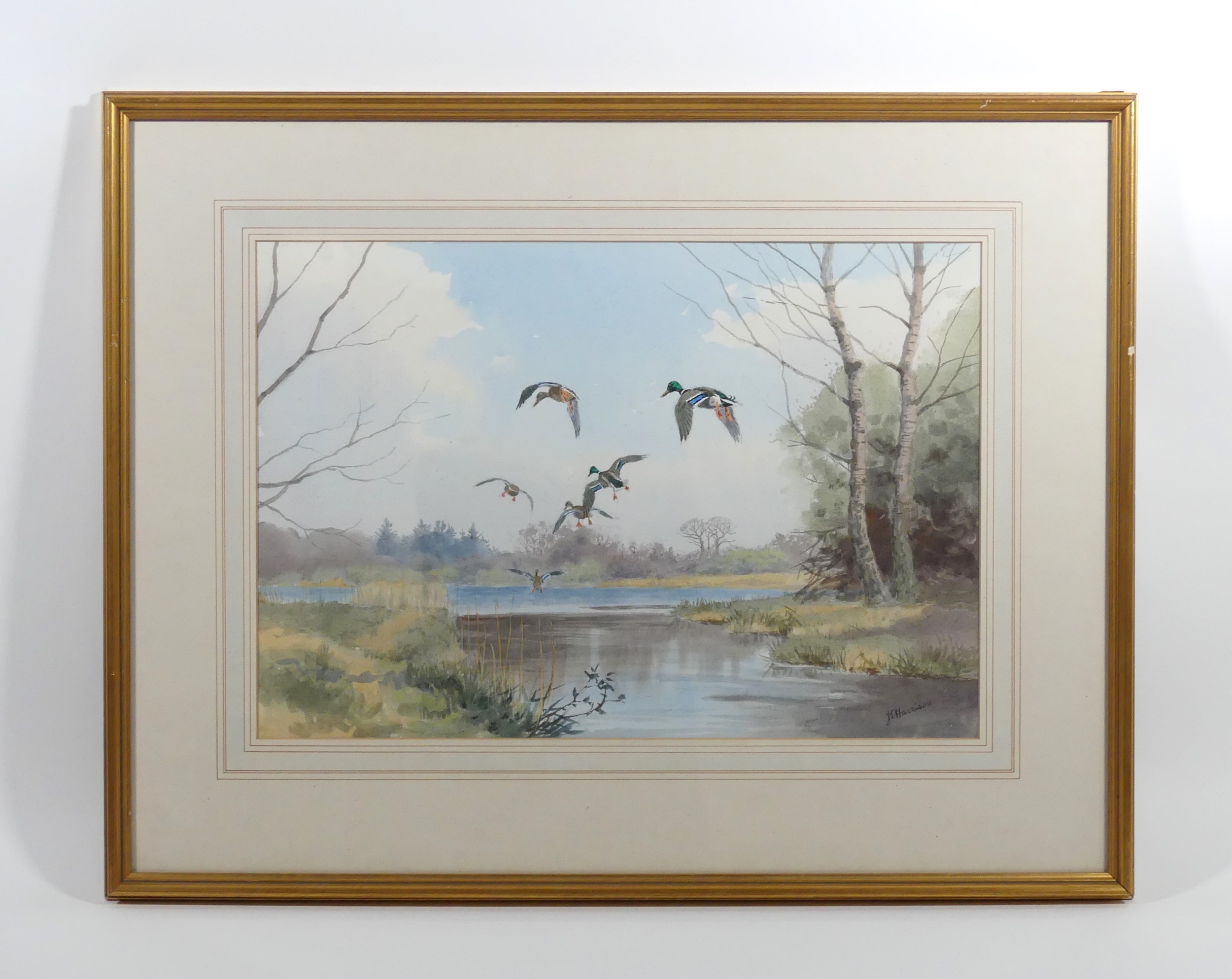 John Cyril Harrison | Shovelers in Flight | MutualArt